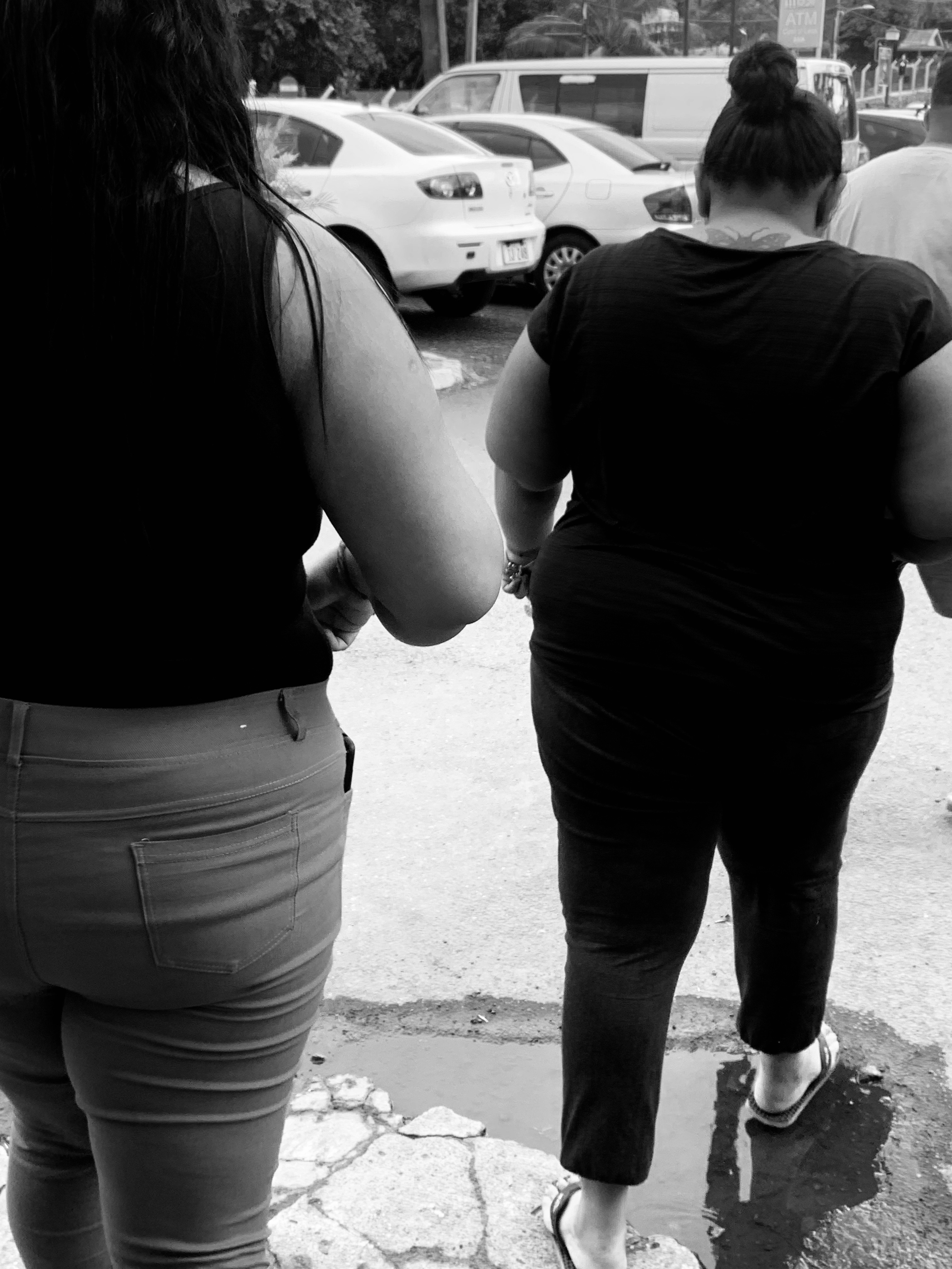 The Anatomy of Obesity – Integritus Prime