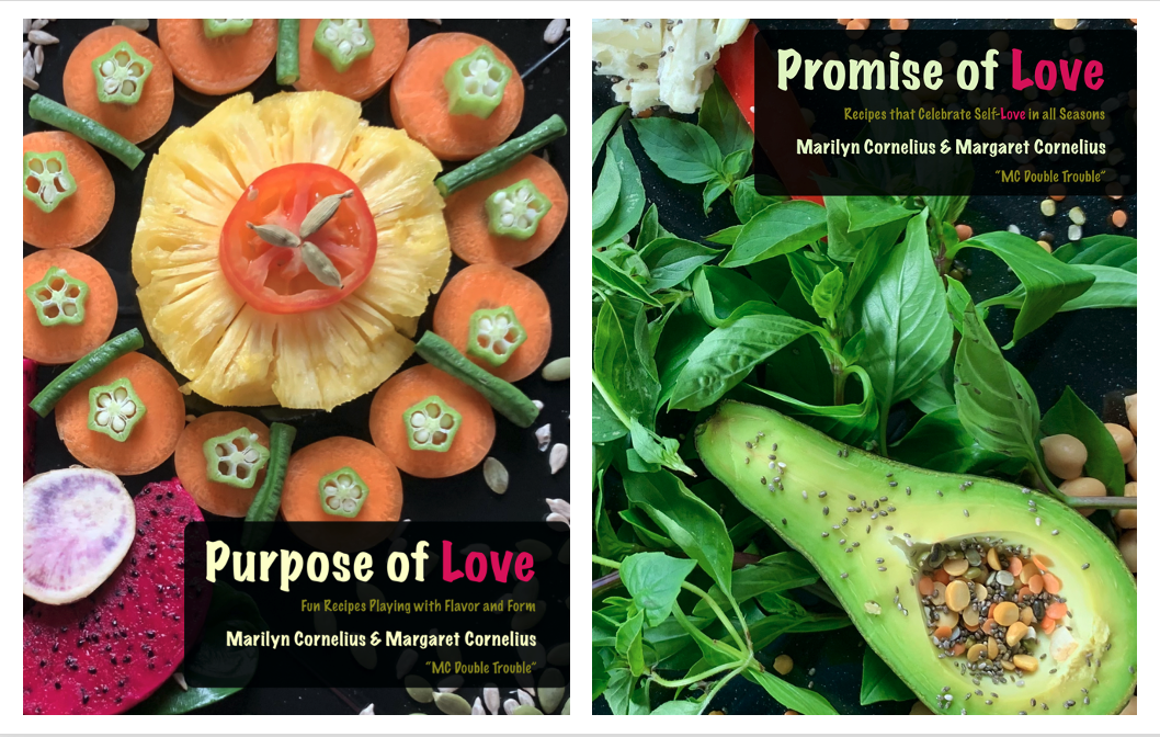 4 Reasons to Fill Your Days with Purpose and Promise: Twin Book Release ...